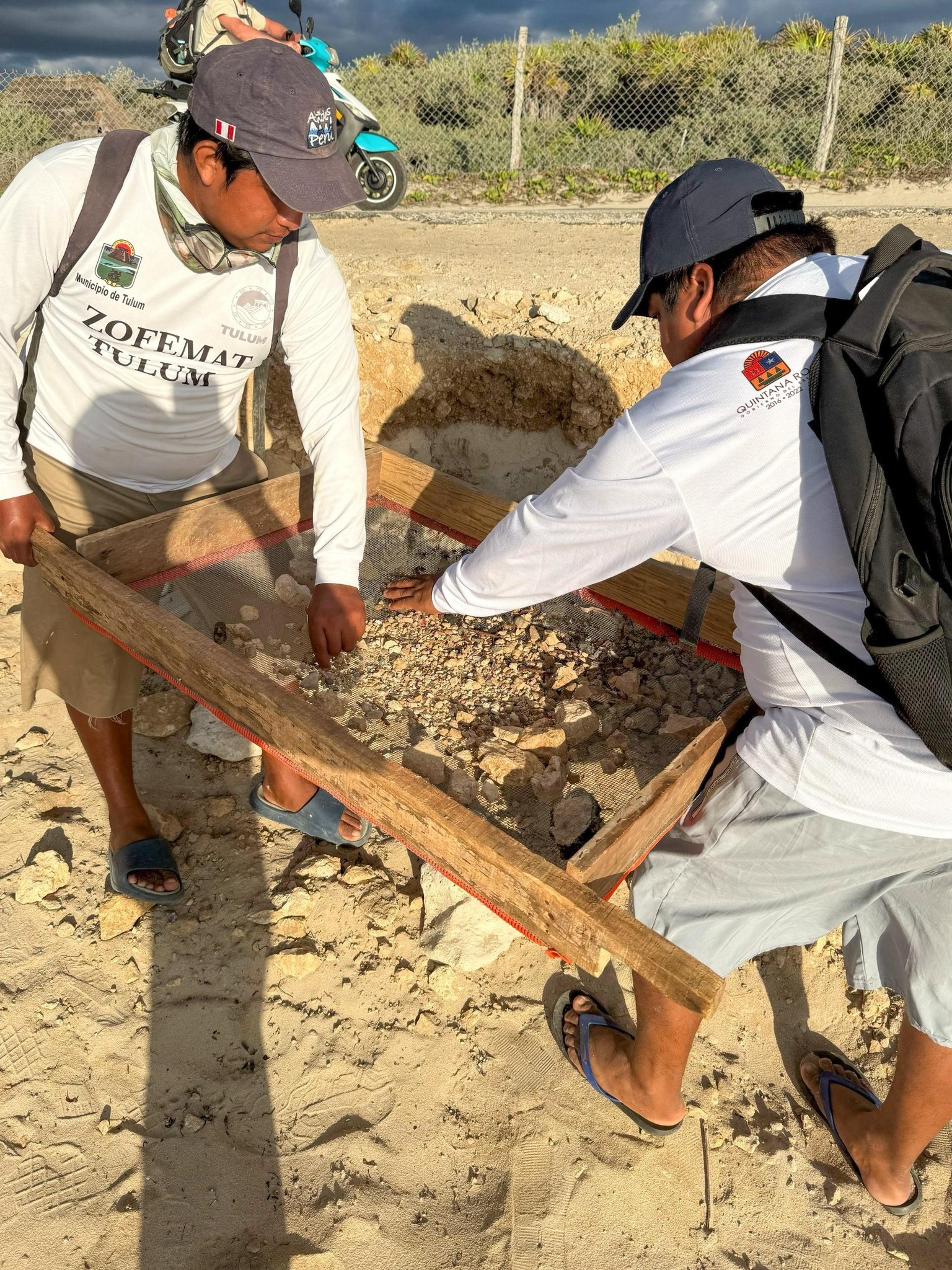 Gobierno de Tulum atiende arribo de sargazo junto a los tres órdenes